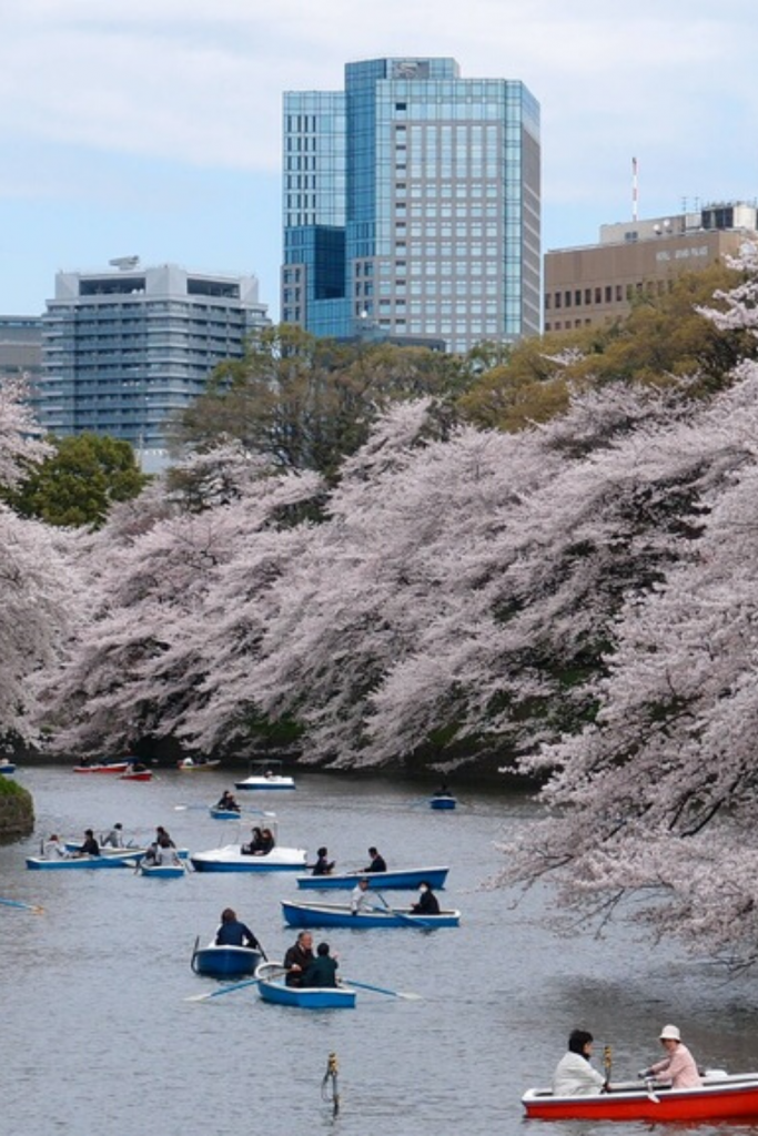 11 Passeios incríveis para você fazer em Tóquio - Esta na Mira